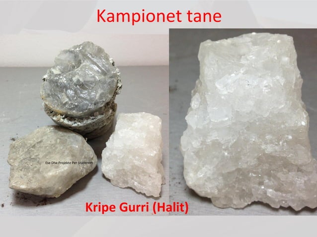 Shkëmbinjtë sedimentarë