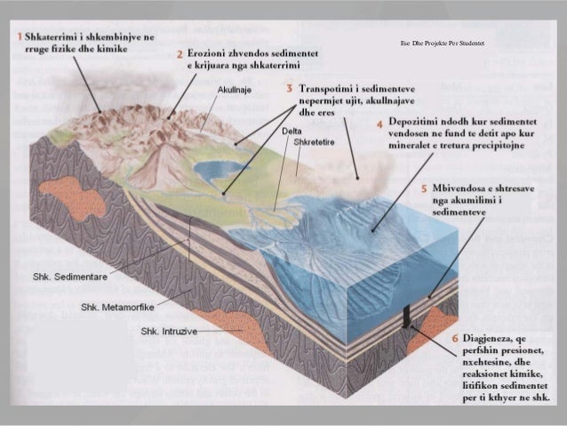 Shkëmbinjtë sedimentarë
