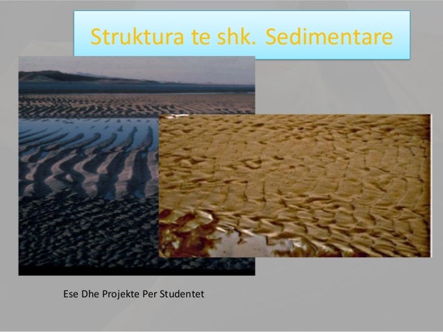 Shkëmbinjtë sedimentarë