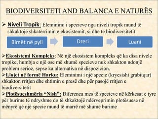 Biodiversiteti | PPTX