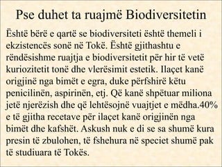 Biodiversiteti | PPTX