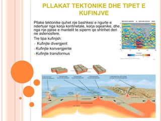 Shkenc Toke | PPTX