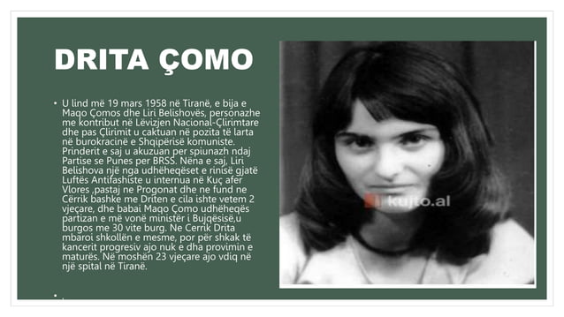 SHKRIMTARET E BREZIT TË HUMBUR 9 PROJEKT | PPTX