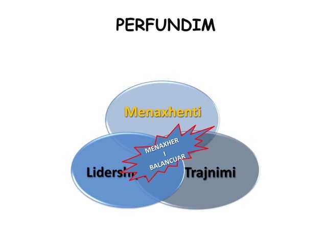 Menaxheri dhe Lideri | PPTX