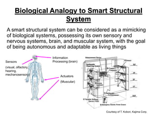 SHM-2.ppt | Science