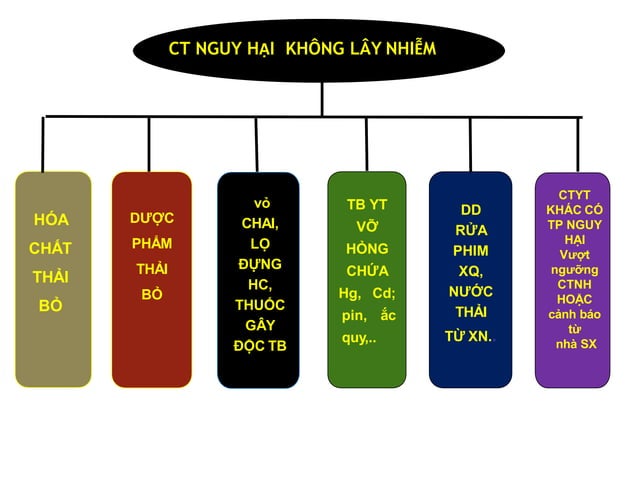 SHN Bài giảng TT20 .pdf