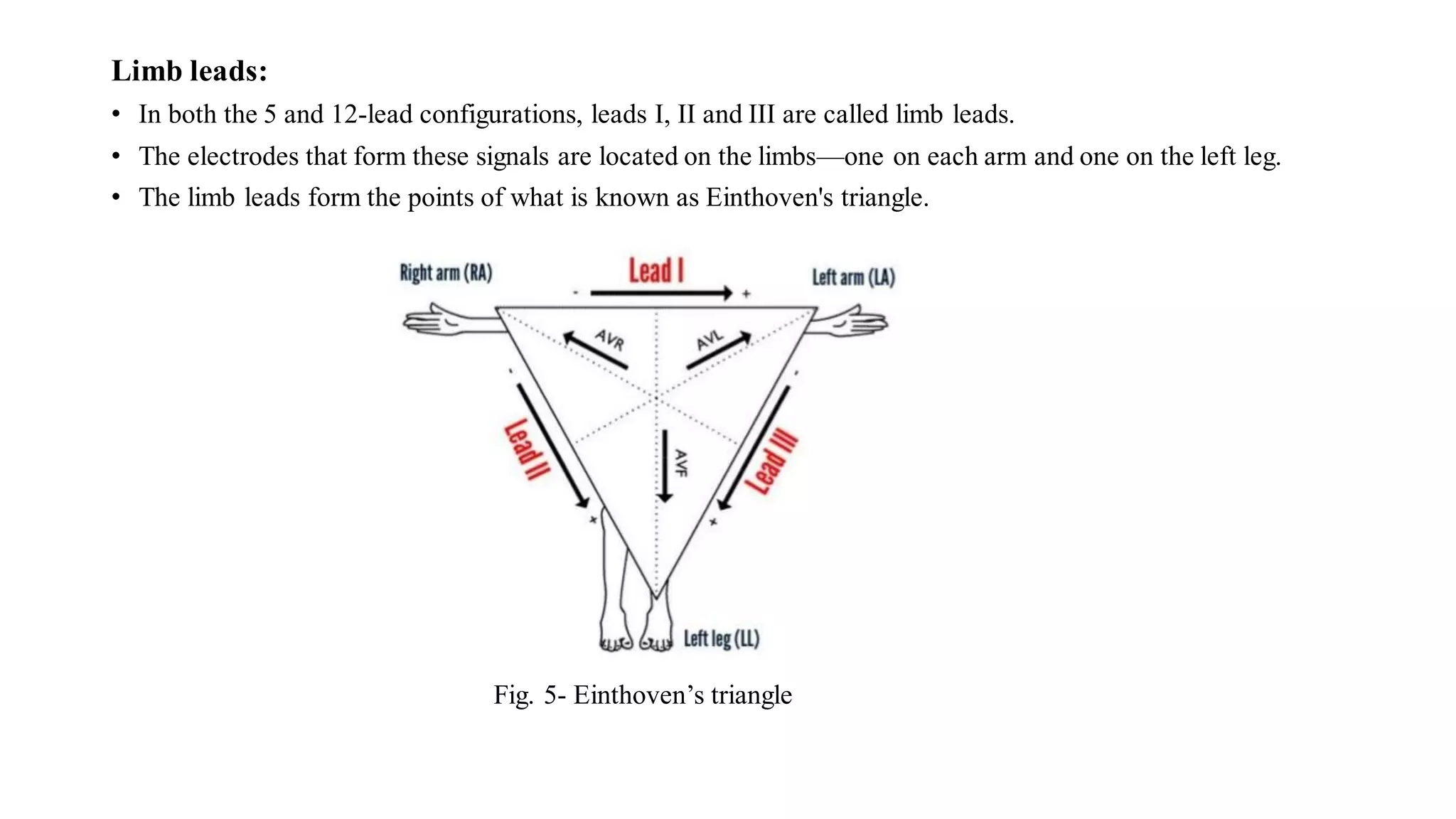 basics of ecg | PDF