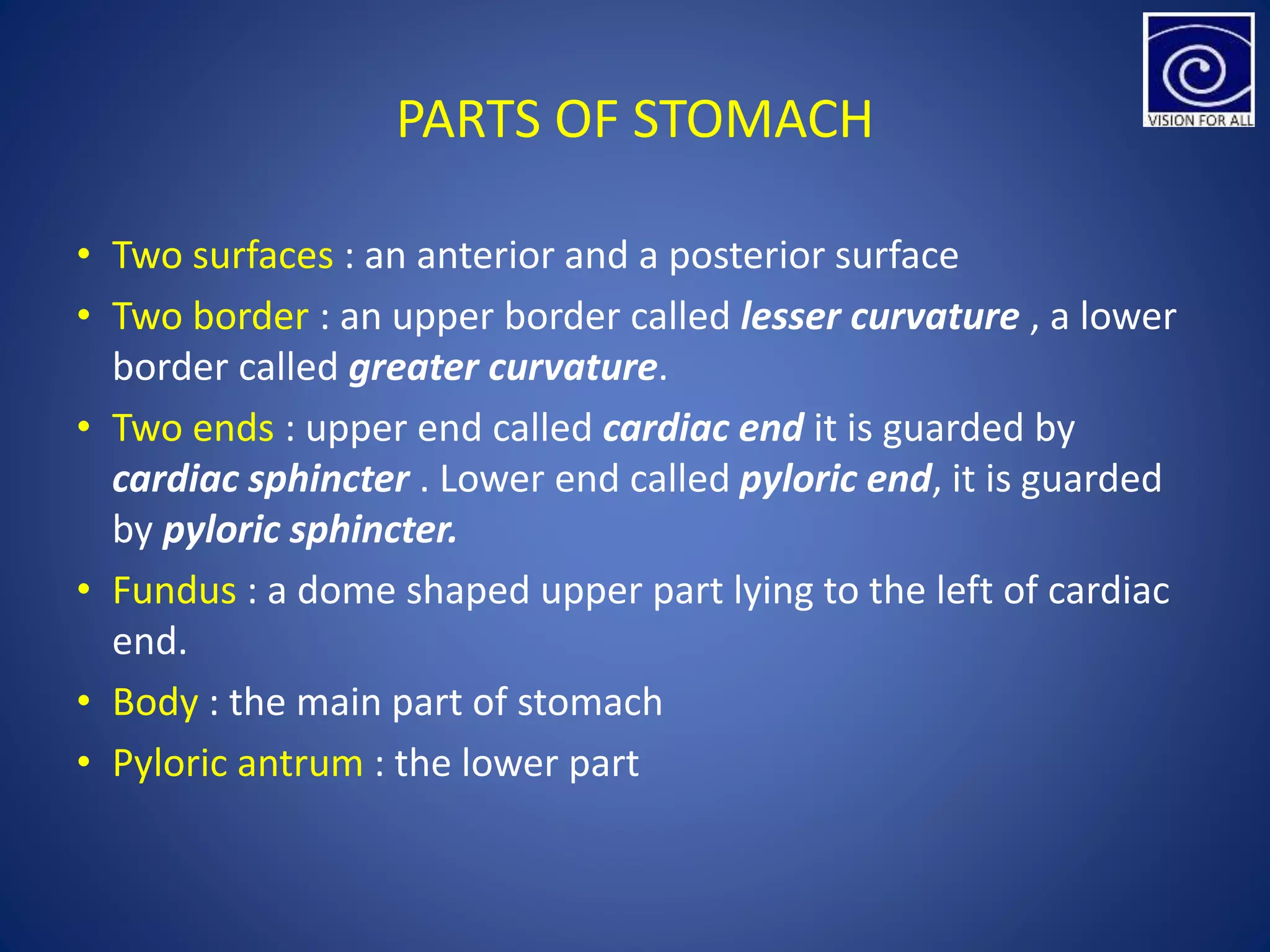 The Digestive System | PPTX
