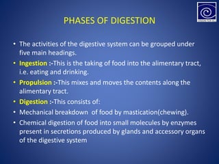 The Digestive System | PPTX