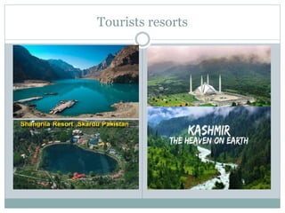 Powerpoint presentation on Pakistan | PPTX