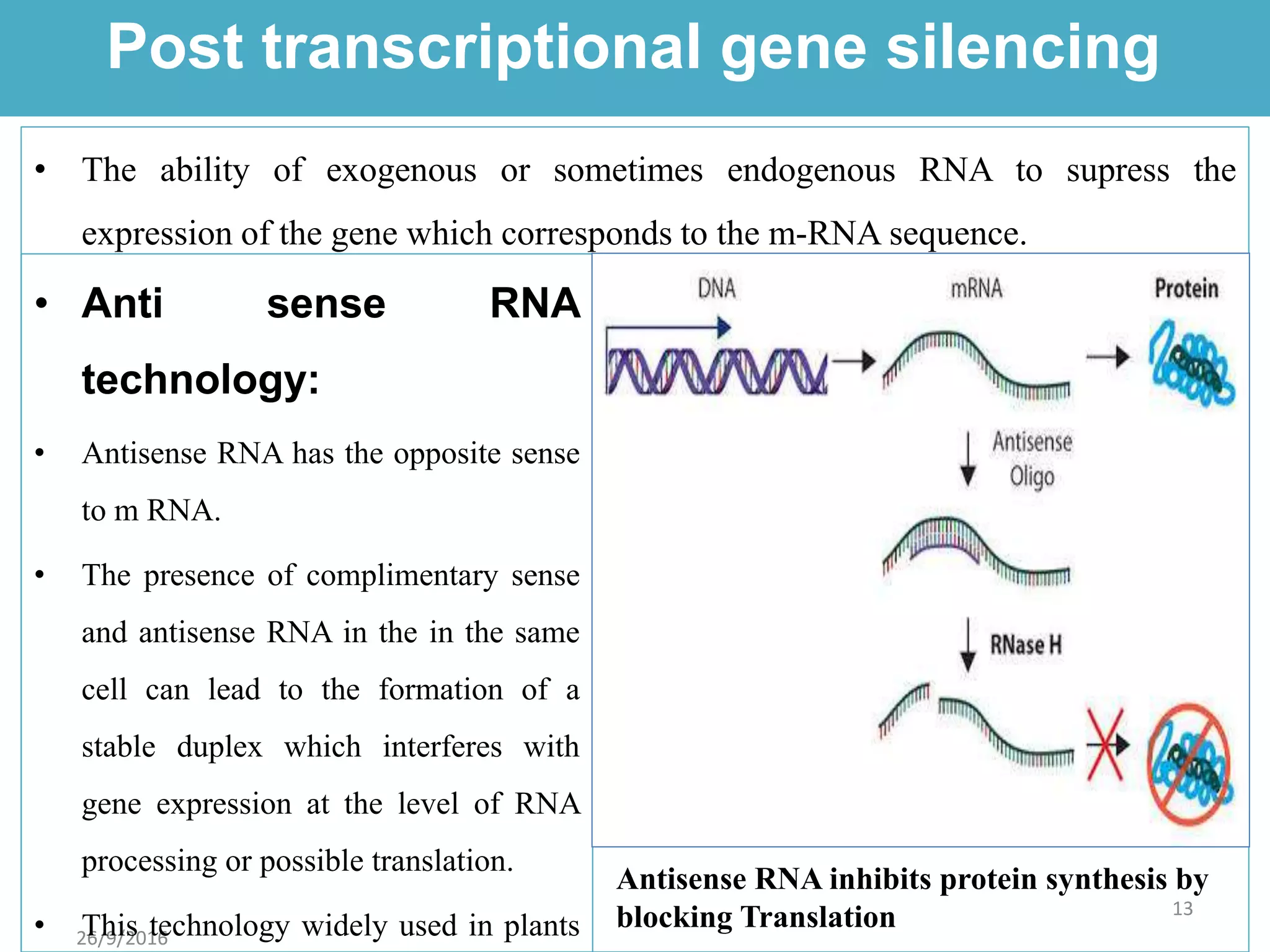 Gene Silencing | PPTX