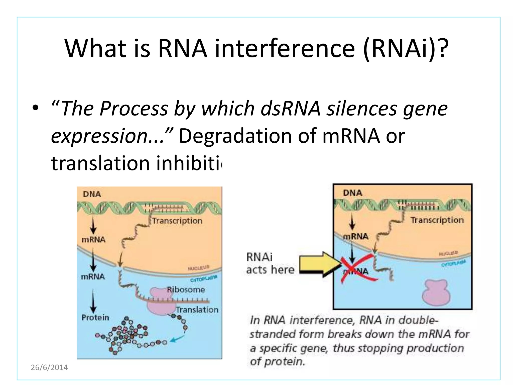 Gene Silencing | PPTX
