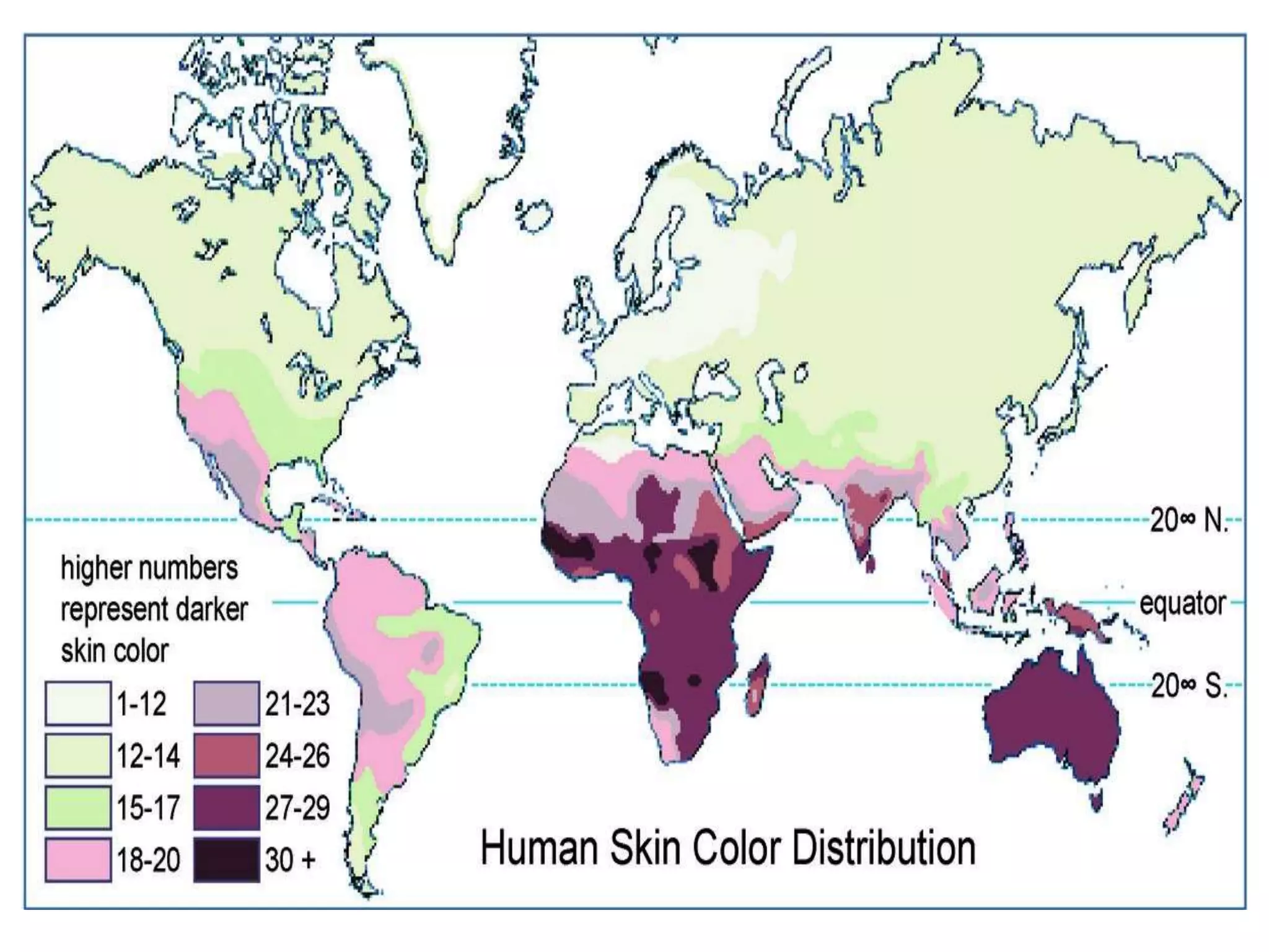genetics of skin pigmentation in north indian populations | PPTX