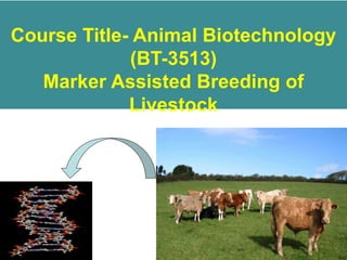 Animal Biotechnology | PPT