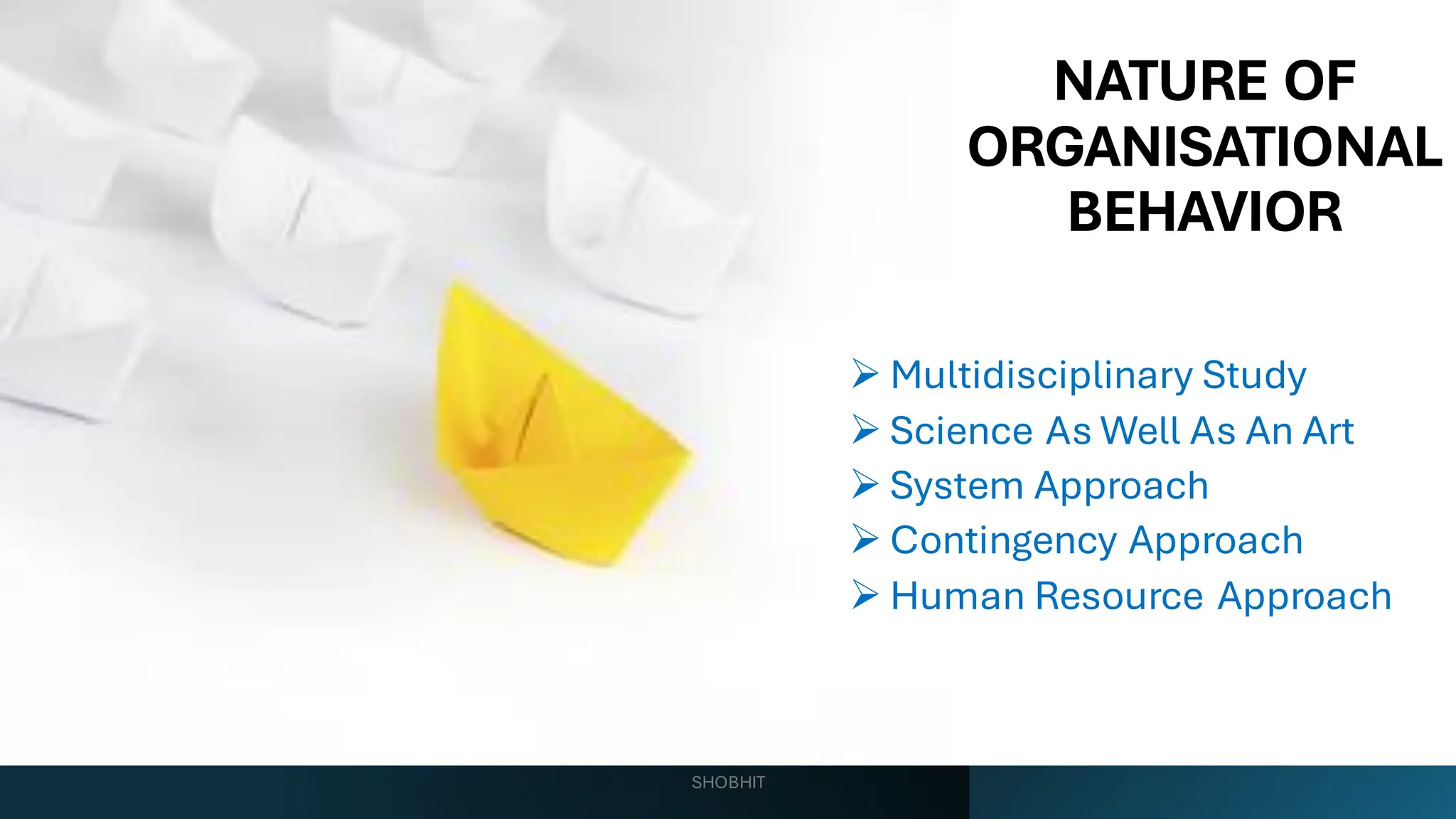 Presentation on Organisational behaviour pdf | PDF