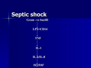 Shock | PPT