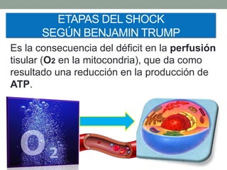 Shock | PPTX