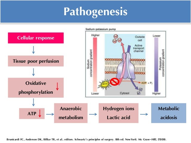 Hemorrhagic Shock