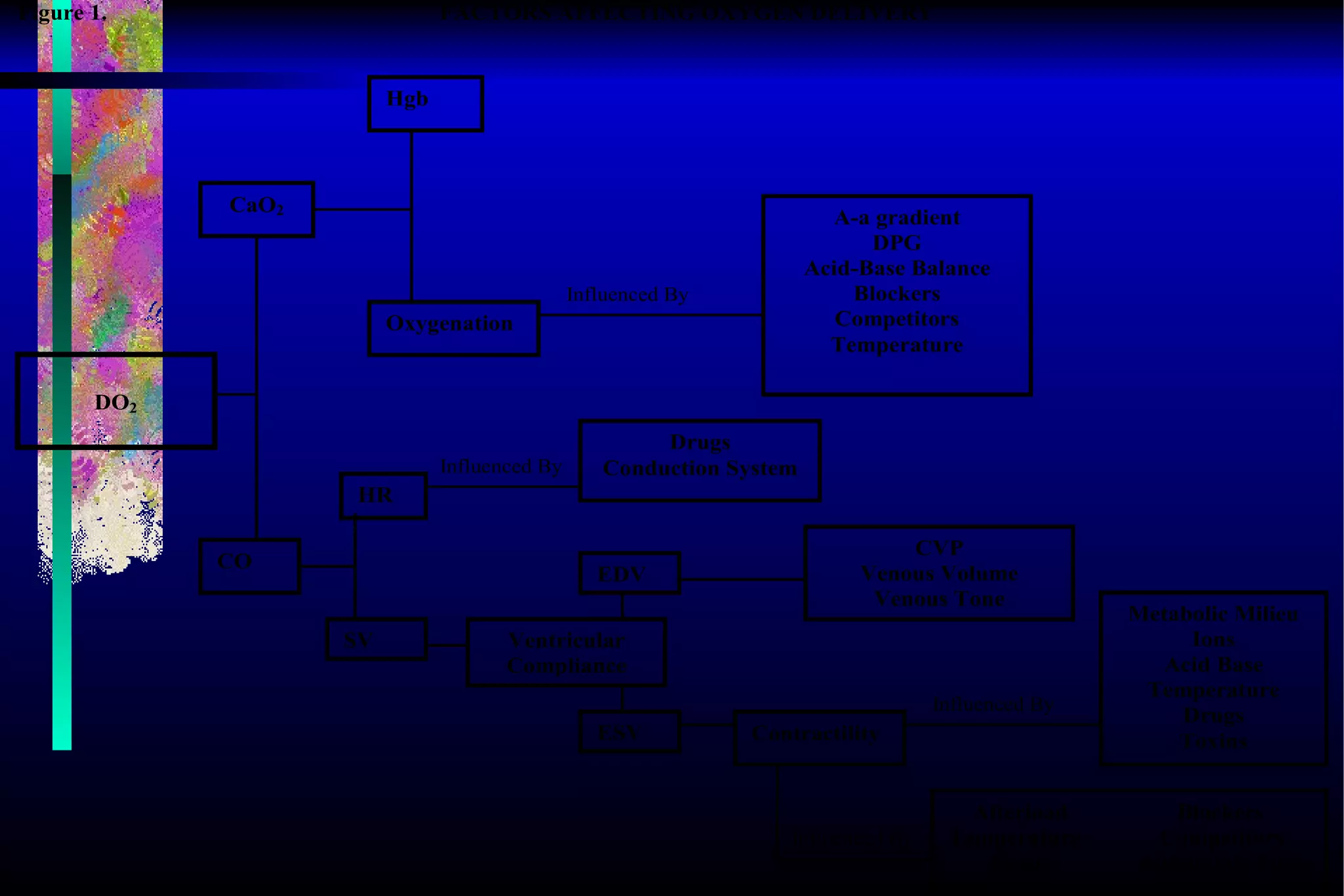 Shock | PPT