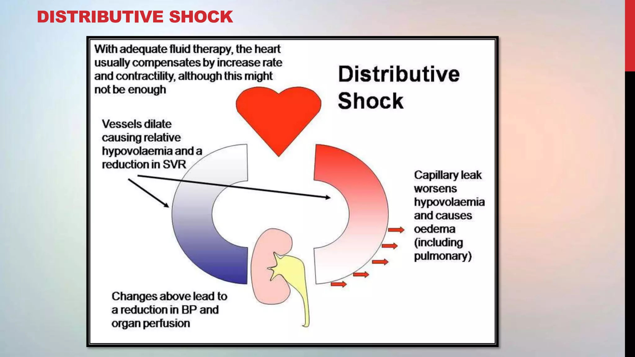 Approach to a patient with shock | PPTX