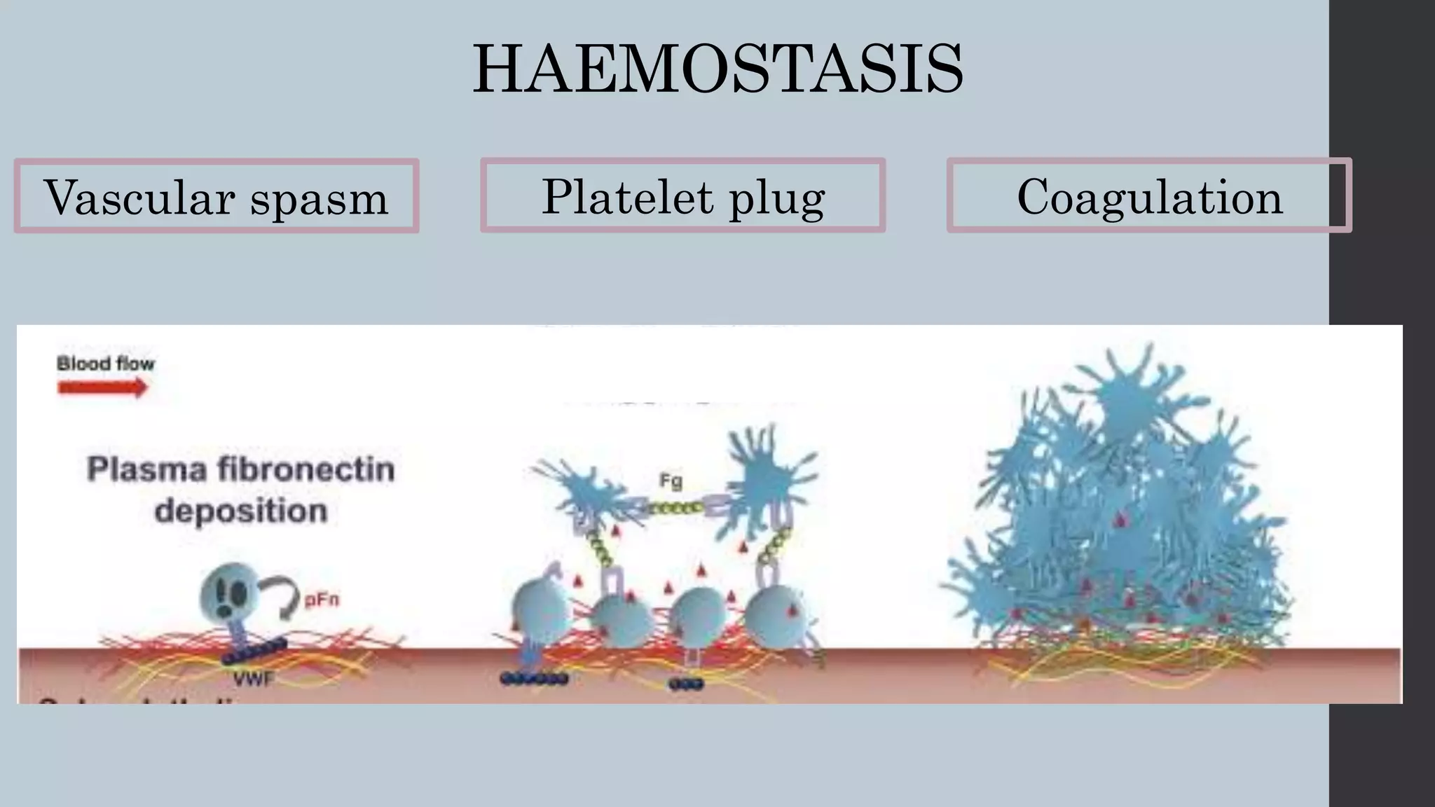 Classification of haemostatic disorders and shock | PPT