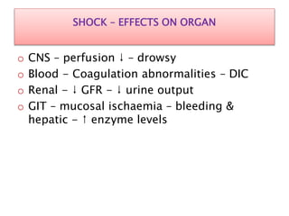 Shock | PPT