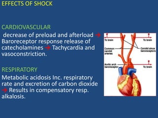 Shock | PPTX