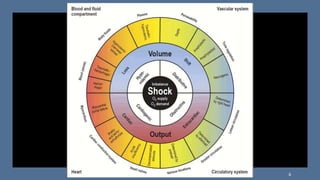 Pathophysiology of Shock | PPTX