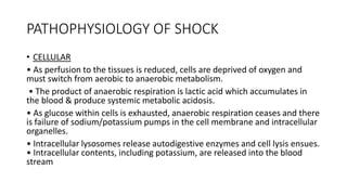 SHOCK.pptx
