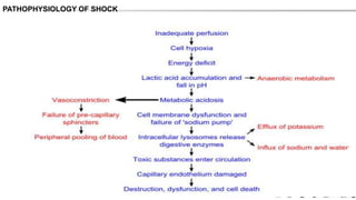 SHOCK.pptx | Heart and Cardiovascular Diseases | Diseases and Conditions