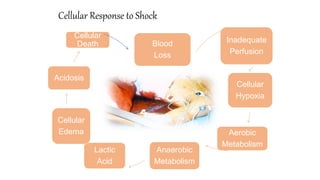shock.pptx