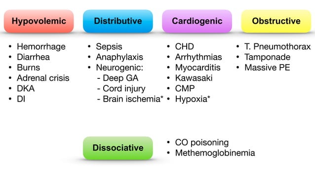 Circulatory Shock (causes and treatment) | PPT