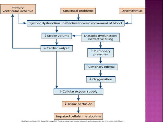 SHOCK.pptx bbbbbbbbbbbbbbbbbbbbbbbbbbbbbbbbbbbbbbbbbbbb | PPTX