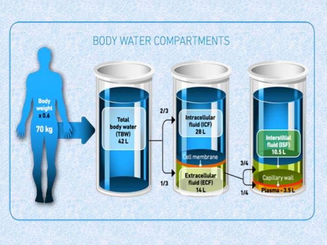 Shock.presentation slides for studentsptx | PPTX