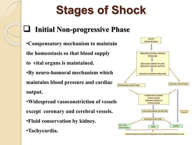 Pathology, Pathogenesis, Types of SHOCK.pptx | Heart and Cardiovascular Diseases | Diseases and ...