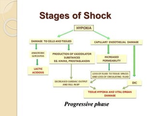 SHOCK General Pathology for Medicine students | PPTX