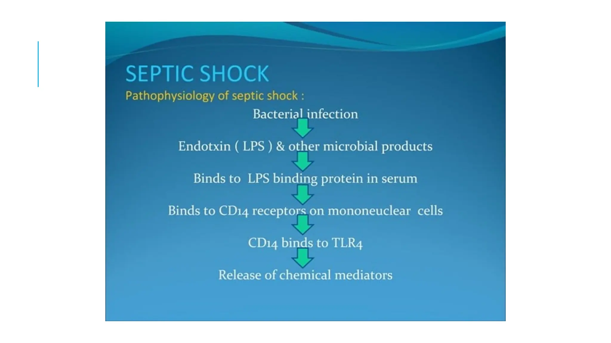 SHOCKMULTIPLE ORGAN FAILURE SUBENDOCARDIAL HEMORRHAGE ACUTE TUBULAR ...
