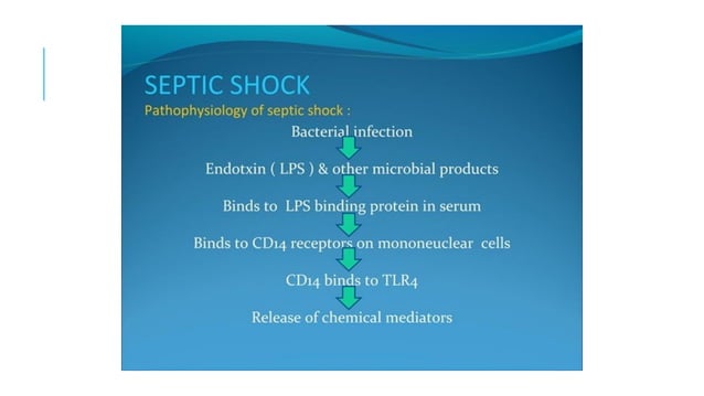 SHOCKMULTIPLE ORGAN FAILURE SUBENDOCARDIAL HEMORRHAGE ACUTE TUBULAR ...