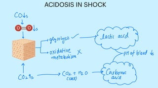 Typese mechanism stages management of shock | PDF