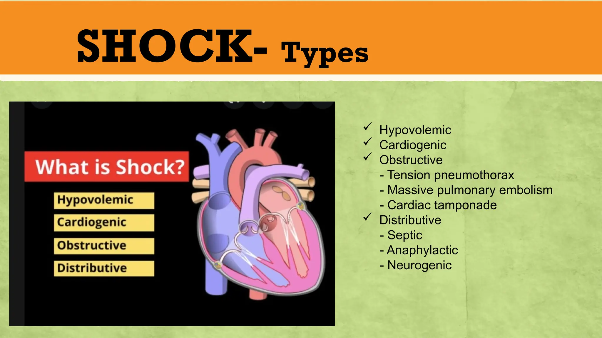 shock-basicprinciplesinsurgery-221017132732-cbe19616.pptx