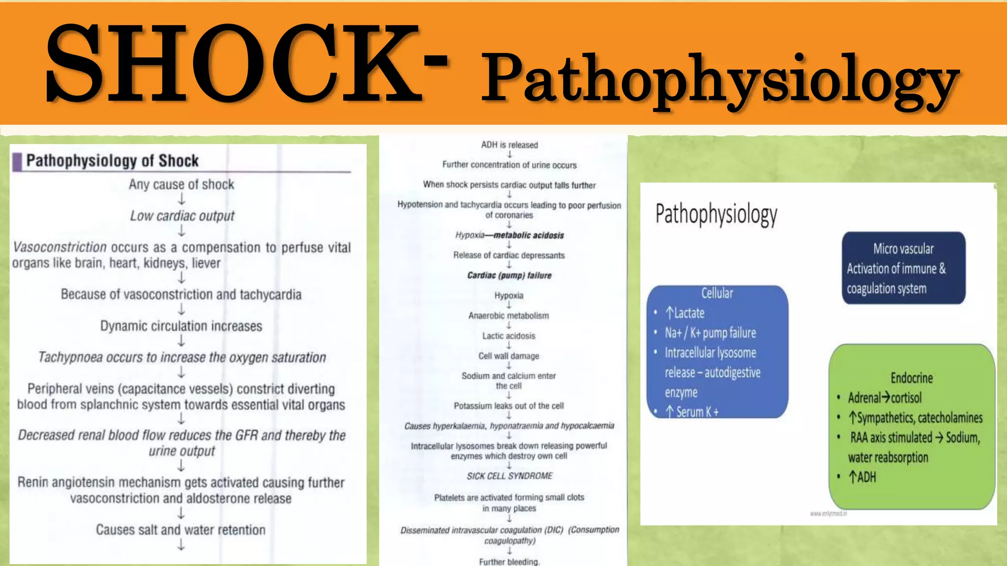 SHOCK- Basic Principles in Surgery.pptx