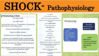SHOCK- Basic Principles in Surgery.pptx
