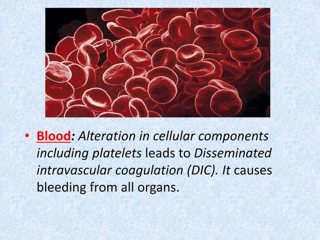 SHOCK - PATHOPHYSIOLOGY, TYPES, APPROACH, TREATMENT. | PPTX