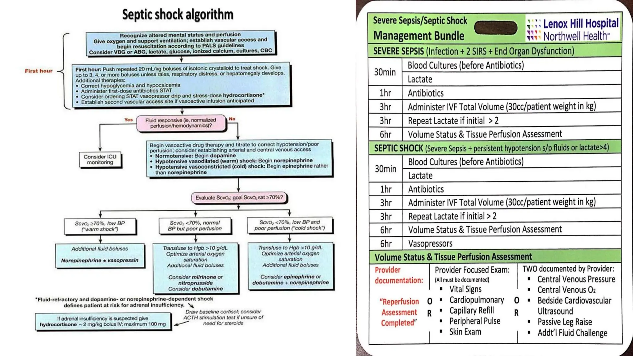 Shock - Septic + Hypovolemic - Causes & Management | PDF