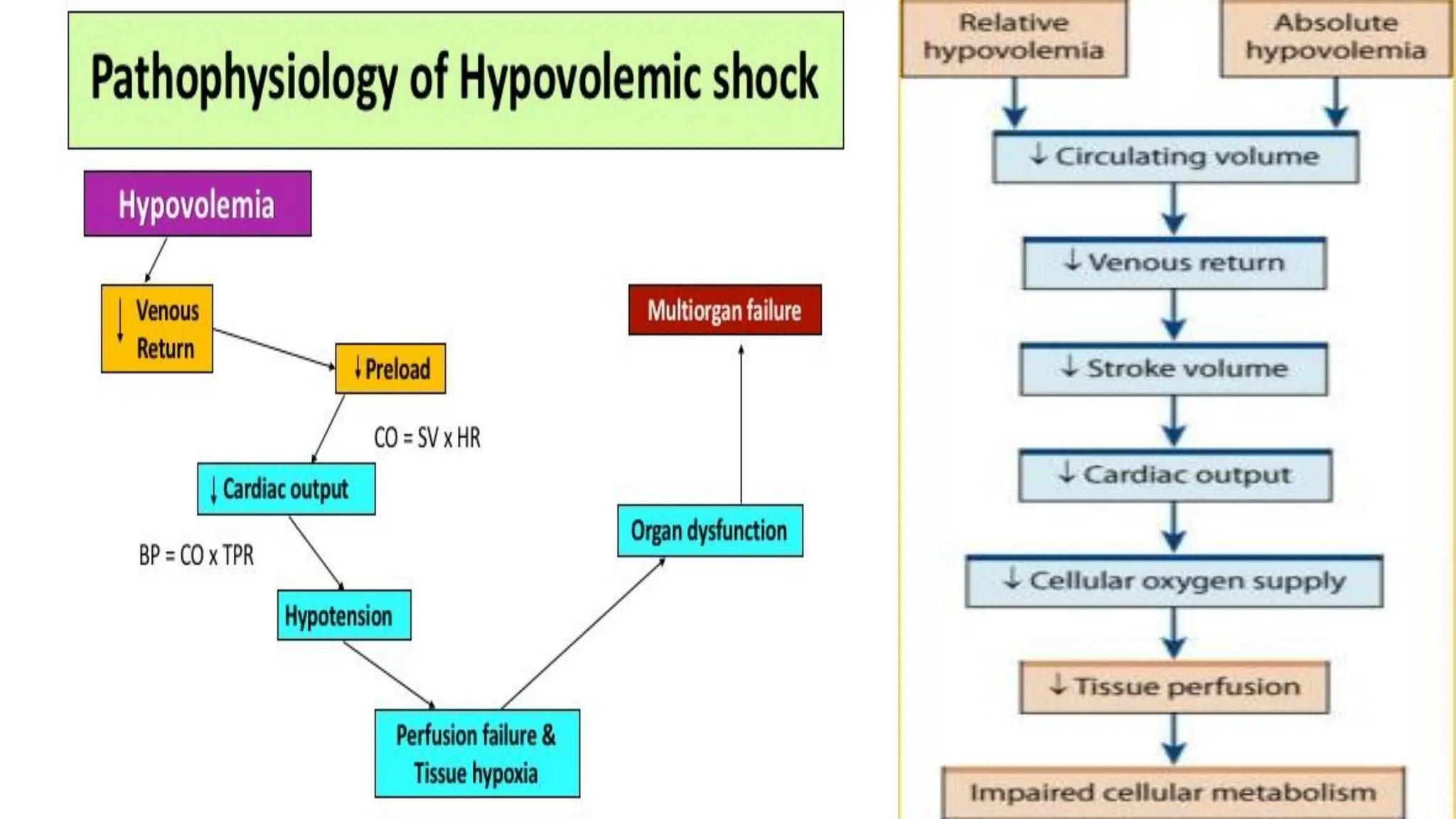 Shock - Septic + Hypovolemic - Causes & Management | PDF