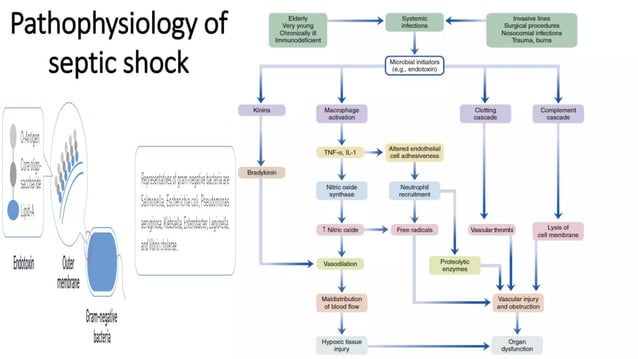 Shock - Septic + Hypovolemic - Causes & Management | PDF | First Aid ...
