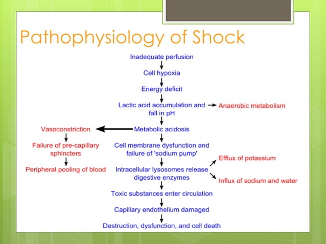 Shock - Pathophysiology / Types & Management | PPTX | Heart and ...