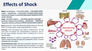 Shock - Types, PP & MGT | PDF