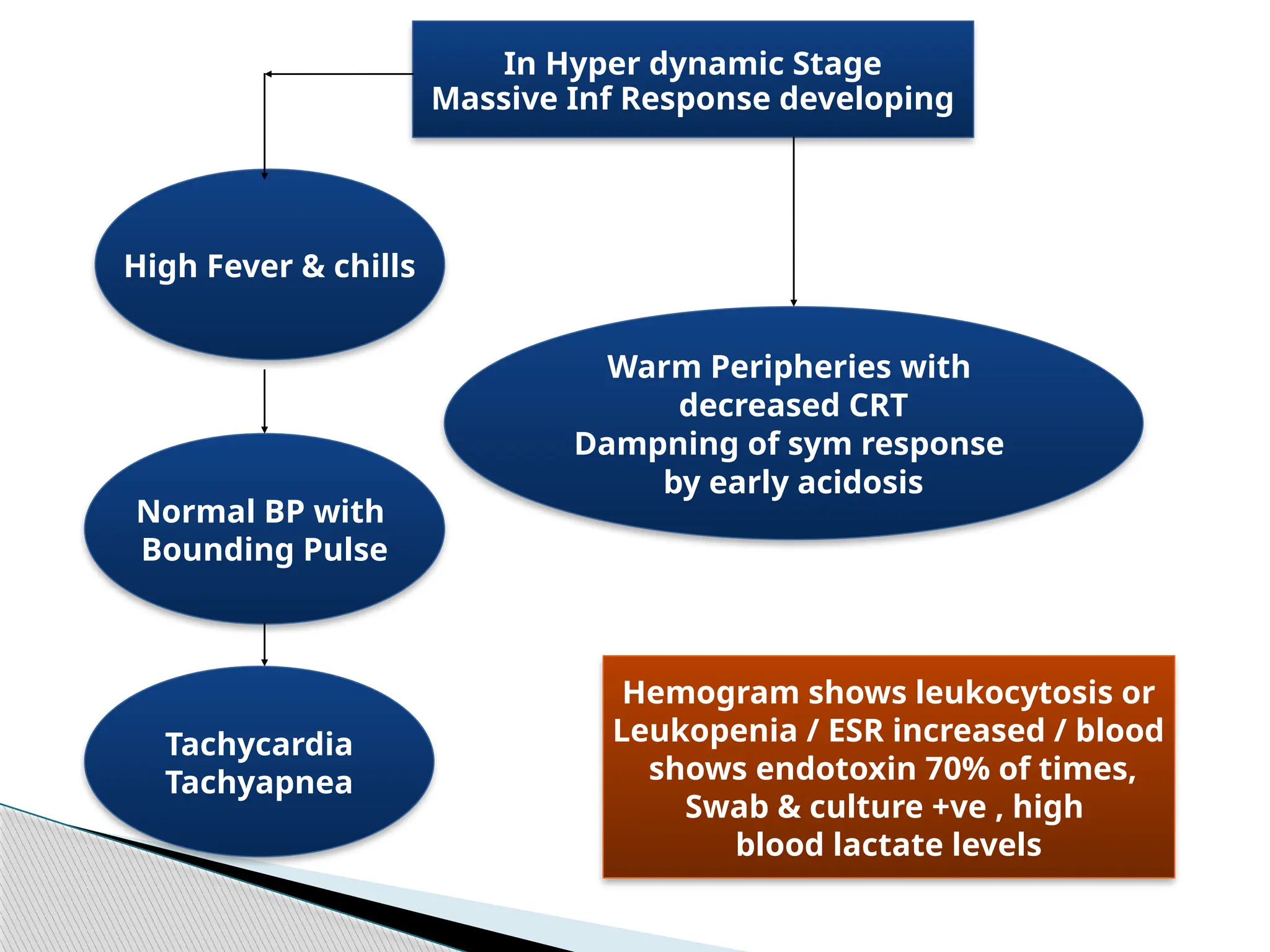 shock for dental and medical students .pptx