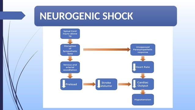 shock in animals classification treatment and patient monitoring.pptx